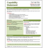 What Are the Different Types of Capability Statements? - TargetGov ...