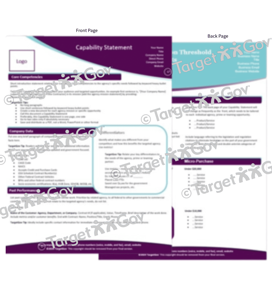 Smooth Line Style Capability Statement Editable 2 Page Template - TargetGov TargetGov