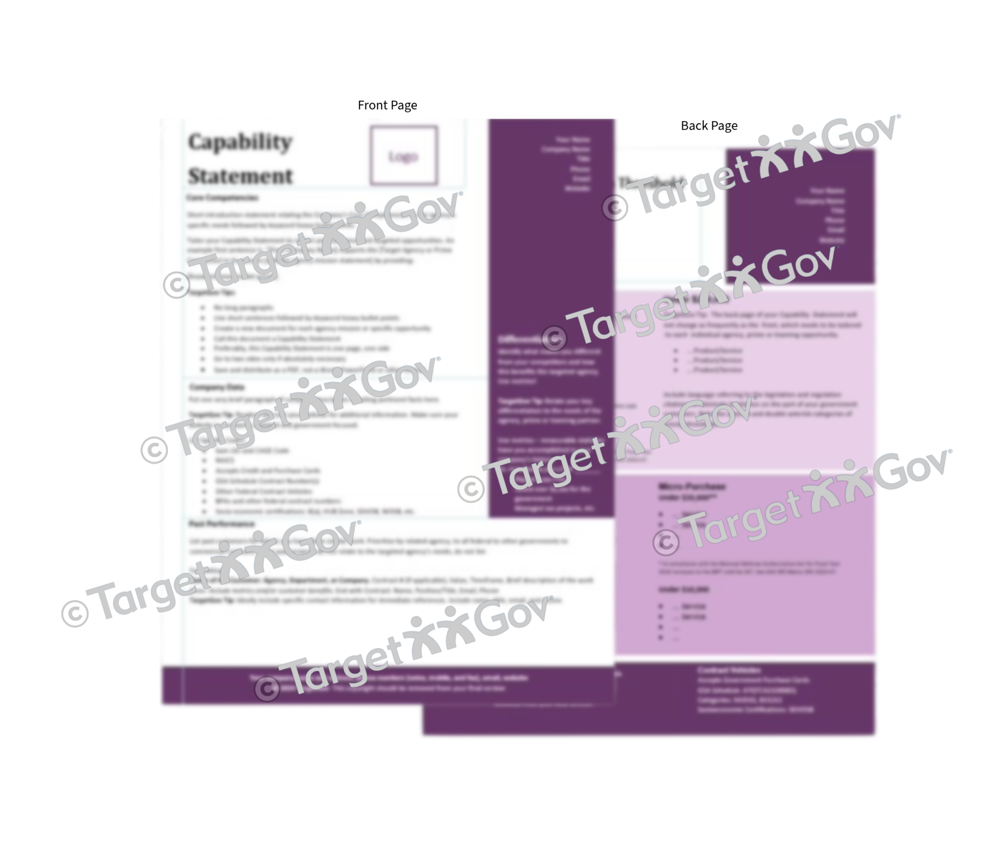 Enhance Style Capability Statement Editable 2 Page Template - TargetGov ... Enhance Style Capability Statement Editable 2 Page Template - TargetGov ...